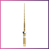 Professional Dental Supplies and Equipment by Sonident Inc. – SoniDent